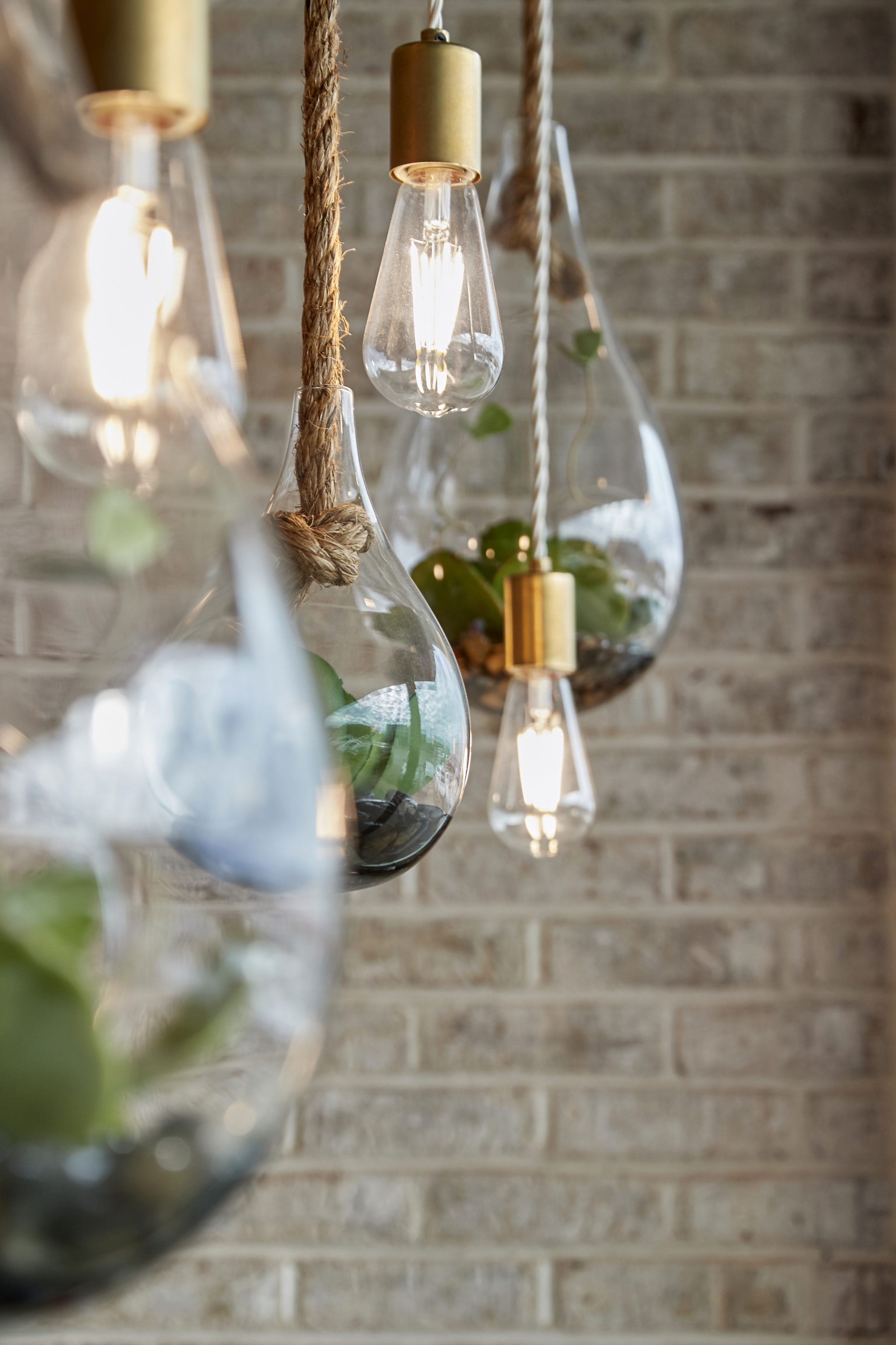 Ian McCabe Salon | Hickok Cole