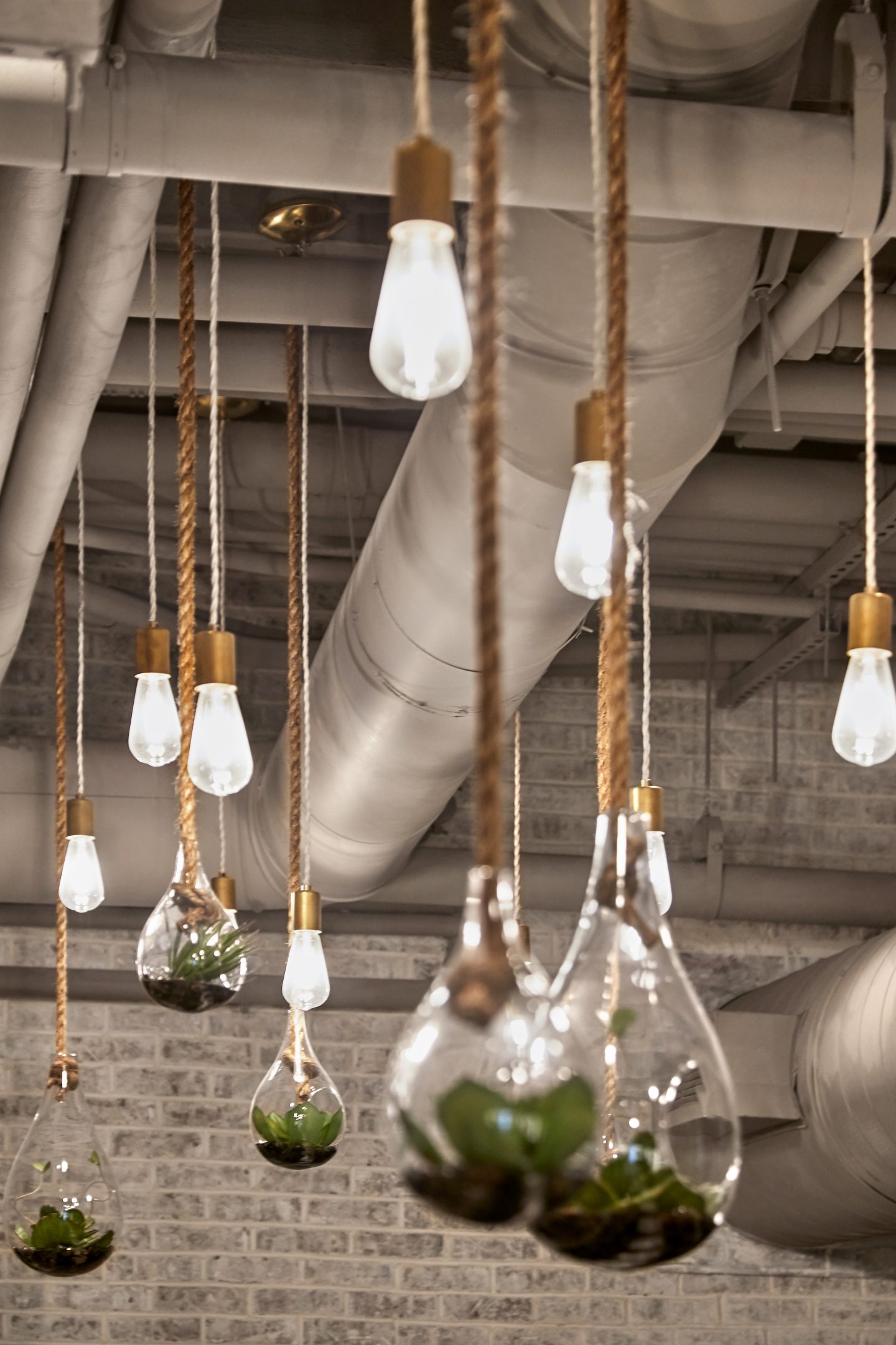 Ian McCabe Salon | Hickok Cole