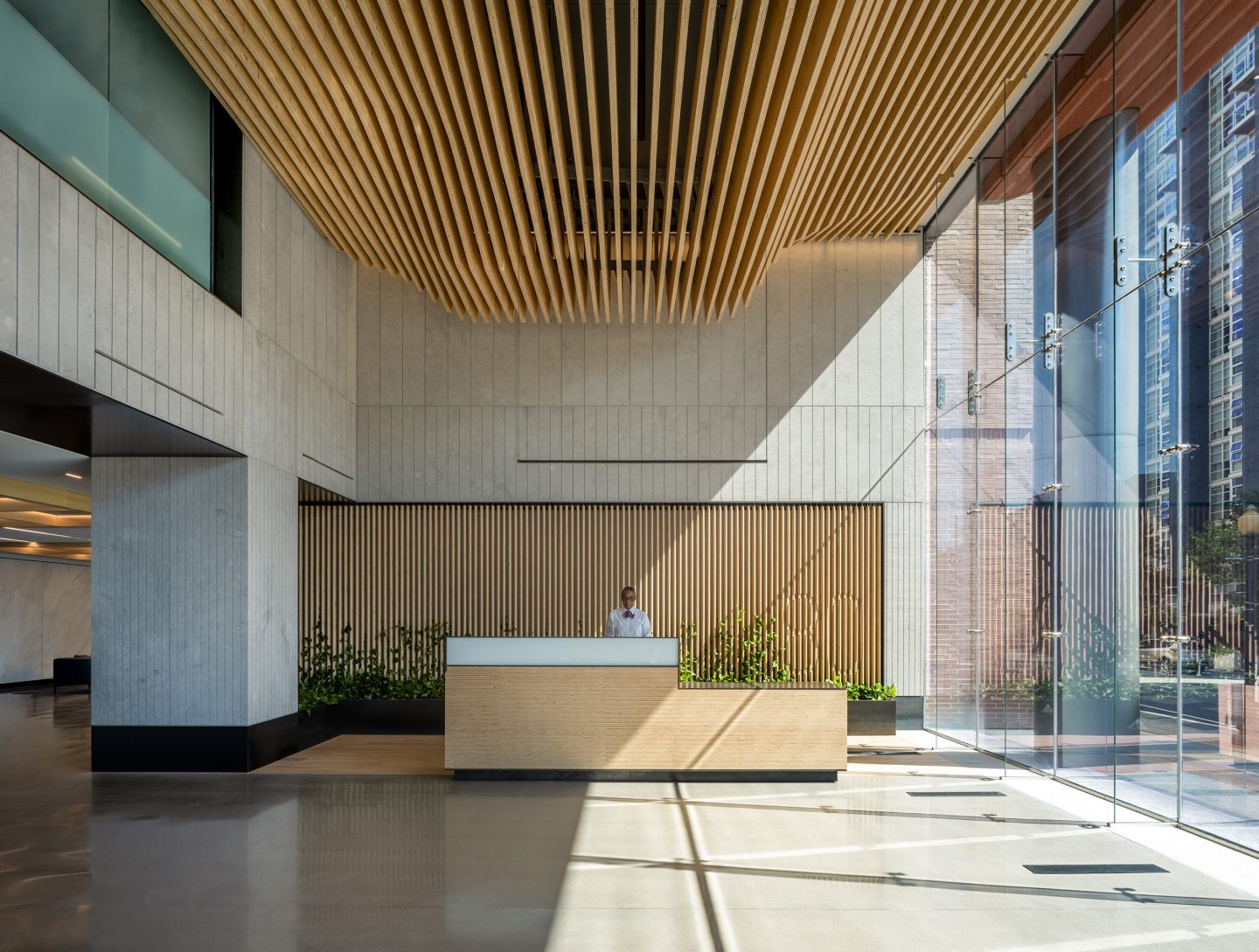 Mass Timber | Hickok Cole