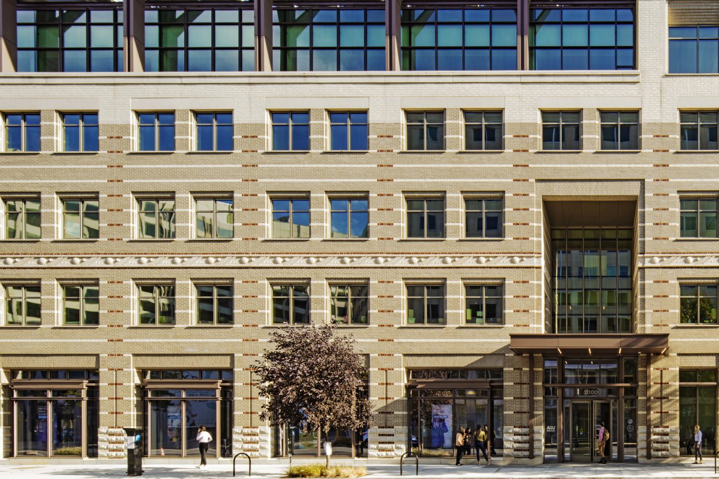 American Geophysical Union (AGU) | Hickok Cole