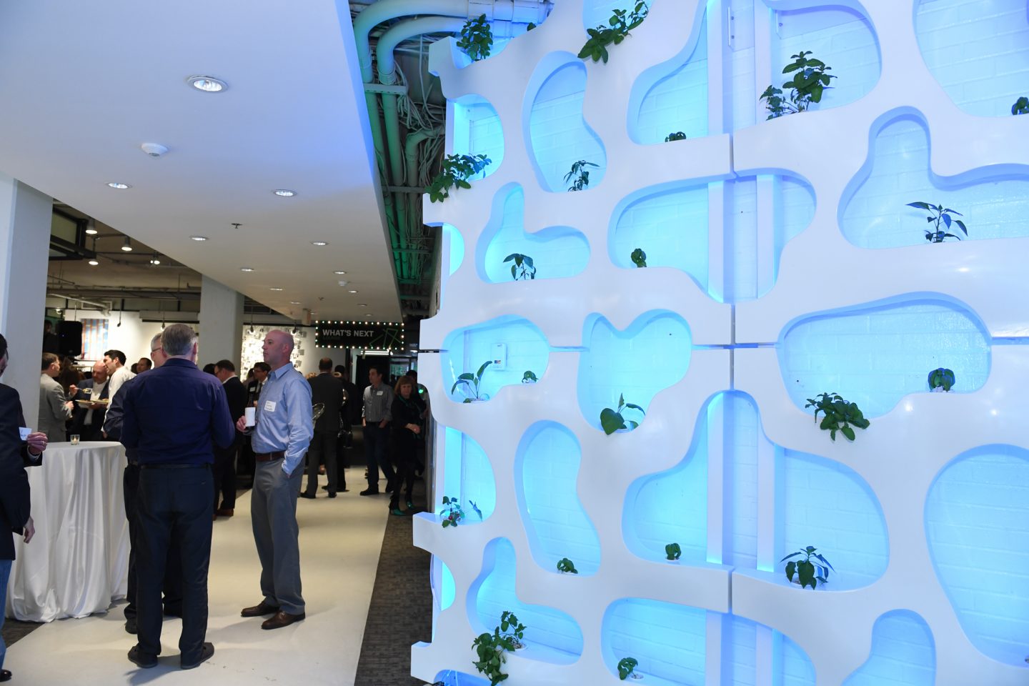 Hydroskin | Hickok Cole