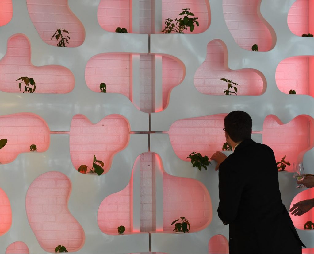 Hydroskin | Hickok Cole