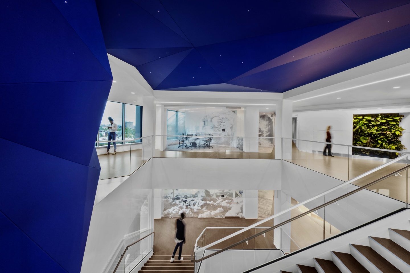 Yolanda Cole | Hickok Cole