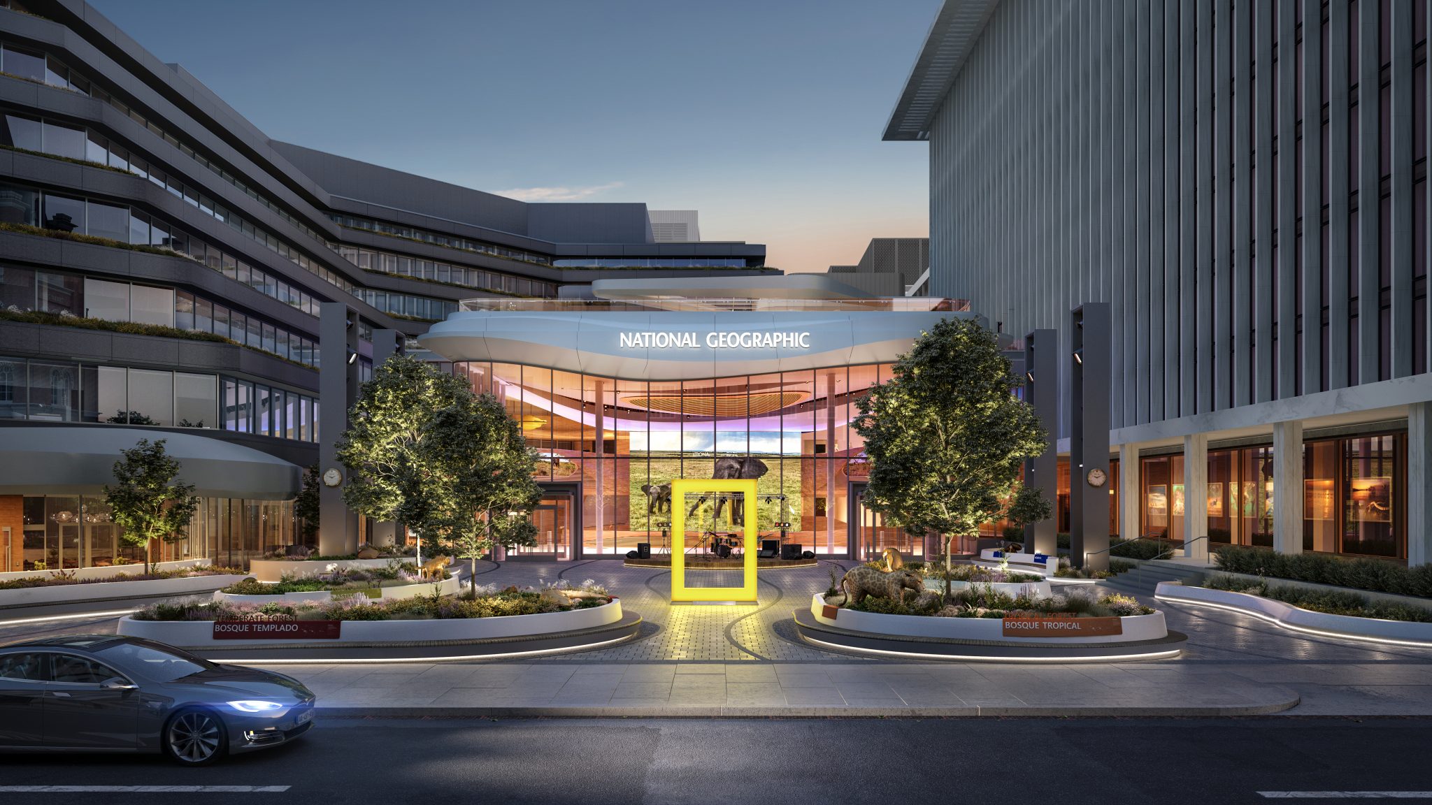 NYU DC | Hickok Cole